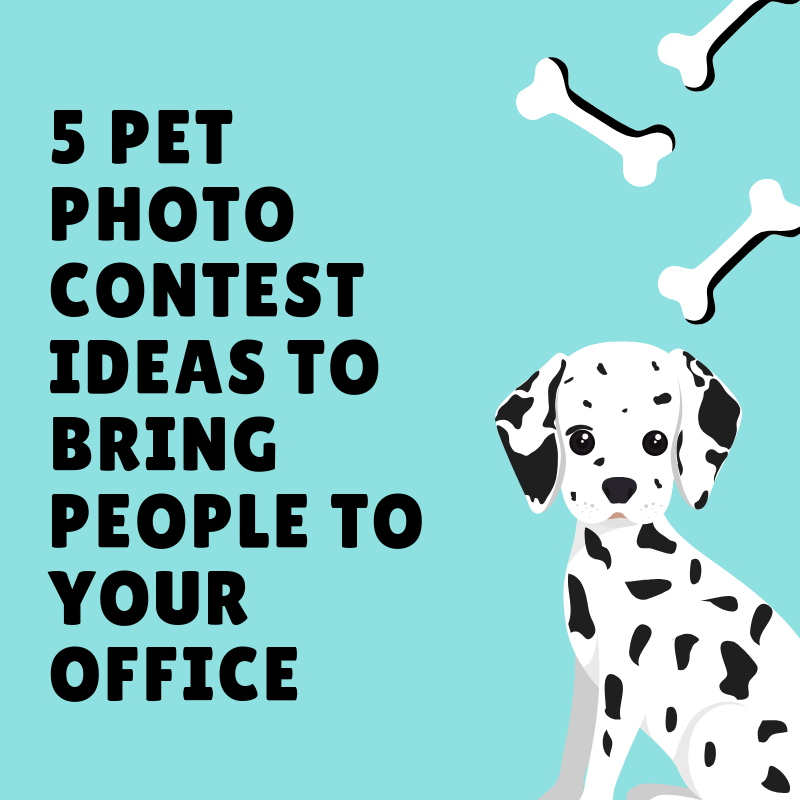 5 Pet Photo Contest Ideas To Bring People To Your Office Veterinary 5 Pet Photo Contest Ideas To Bring People To Your Office Veterinary