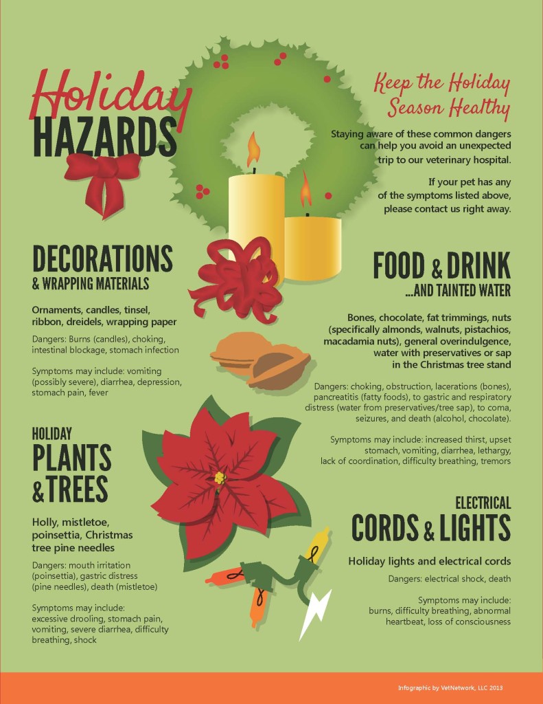 Download VetNetwork's Free Holiday Hazards Veterinary Infographic ...